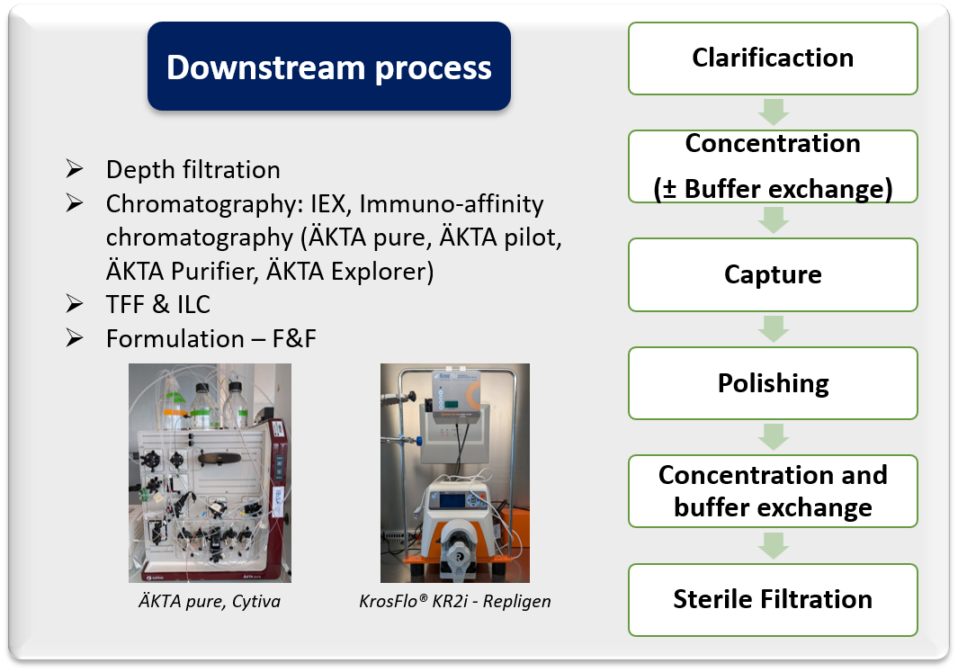 Viral Vector Process Development - Translational Research in Gene Therapy